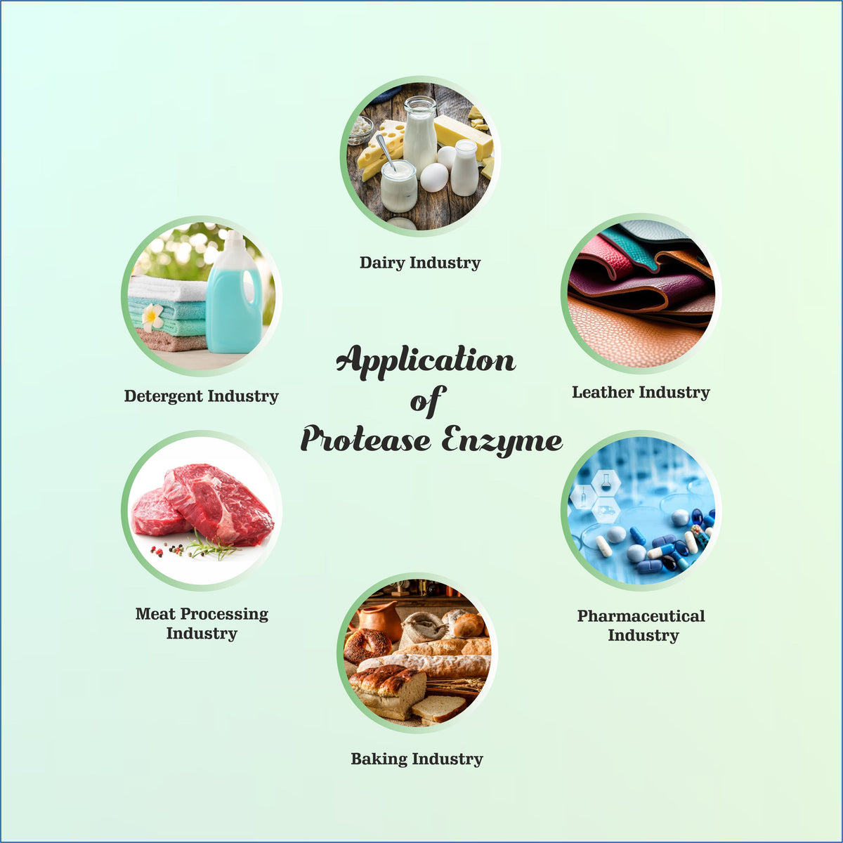 Buy Bioven Ingredients Protease Enzyme Powder | Online Ingredients