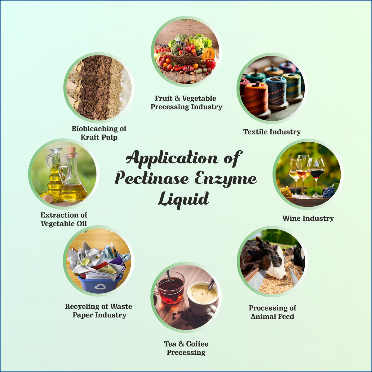 Buy Pectinase Enzyme Online at Bioven Ingredients | Online Ingredients