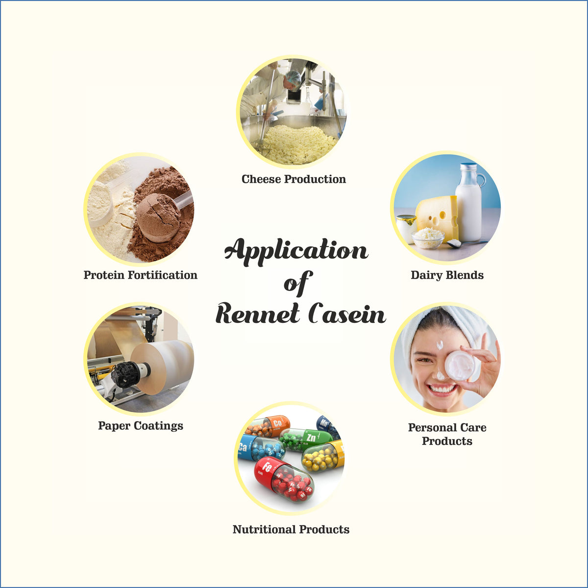 Buy Rennet Casein Powder at Best Price | Online Ingredients