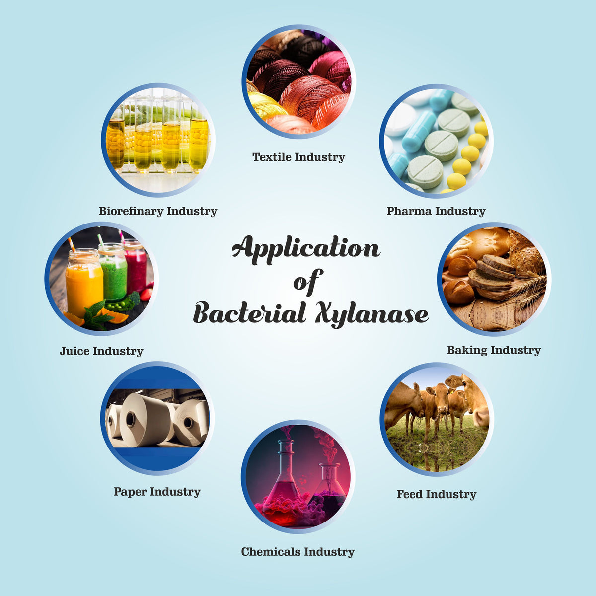 Buy Bacterial Xylanase Enzyme Powder at Best Price | Online Ingredients