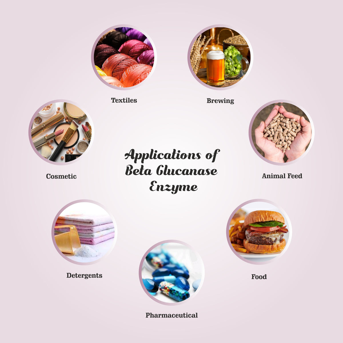 Buy Beta Glucanase Enzyme Online at 15% OFF - Bioven Ingredients ...