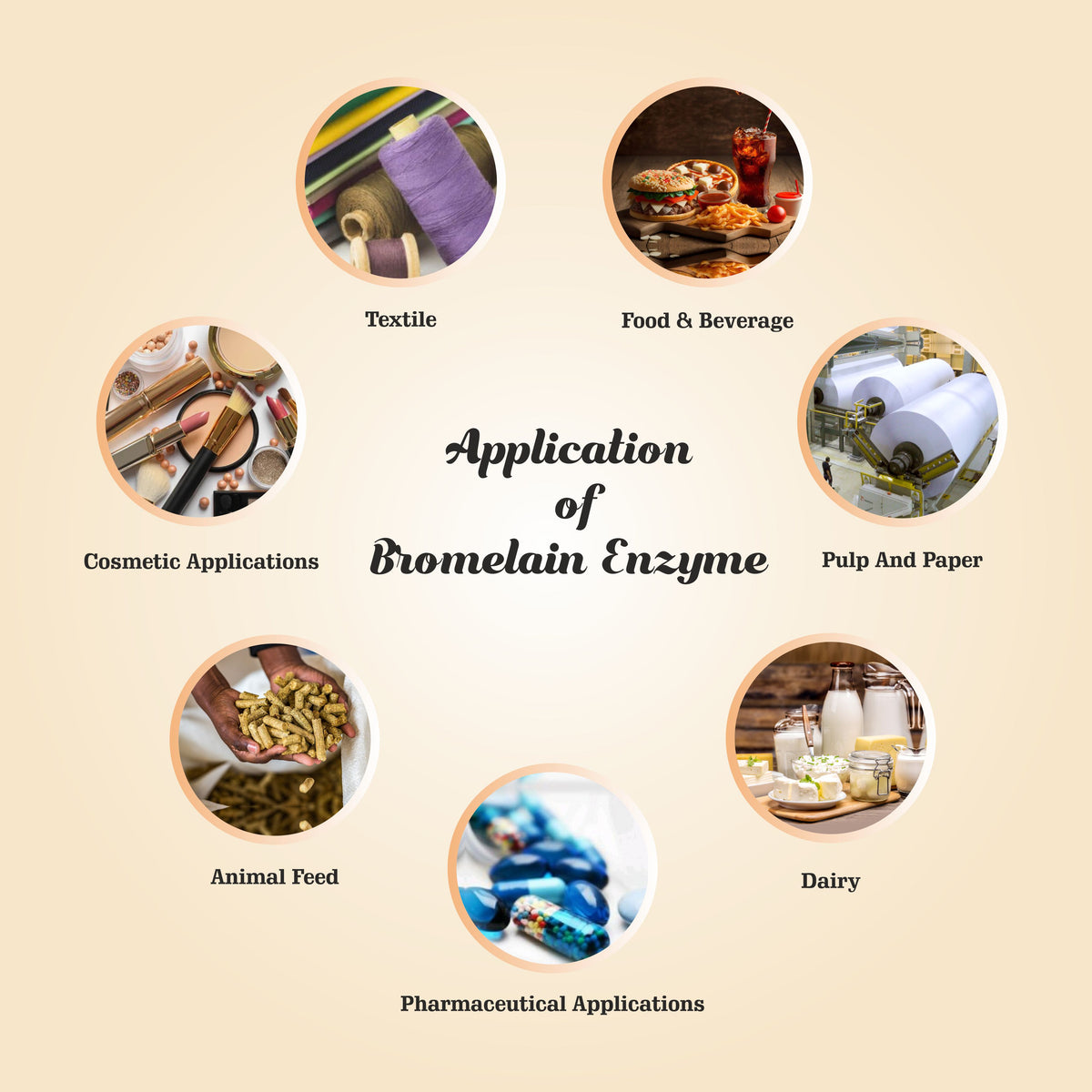 Buy Bioven Ingredients Bromelain Enzyme Powder | Online Ingredients