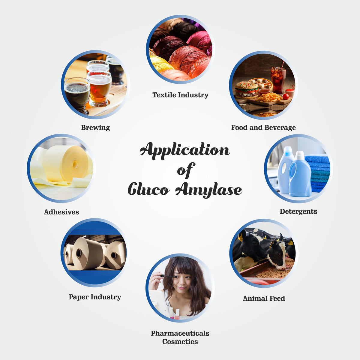 Buy Gluco Amylase Enzyme Powder at Best Price in India | Online Ingredients