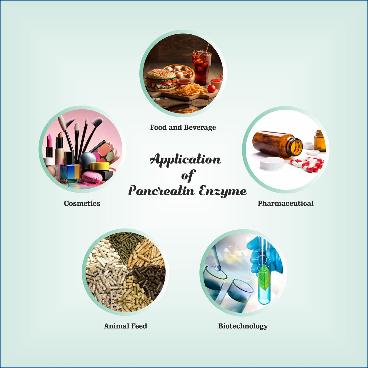 Buy Pancreatin Enzyme Powder at Best Price | Online Ingredients