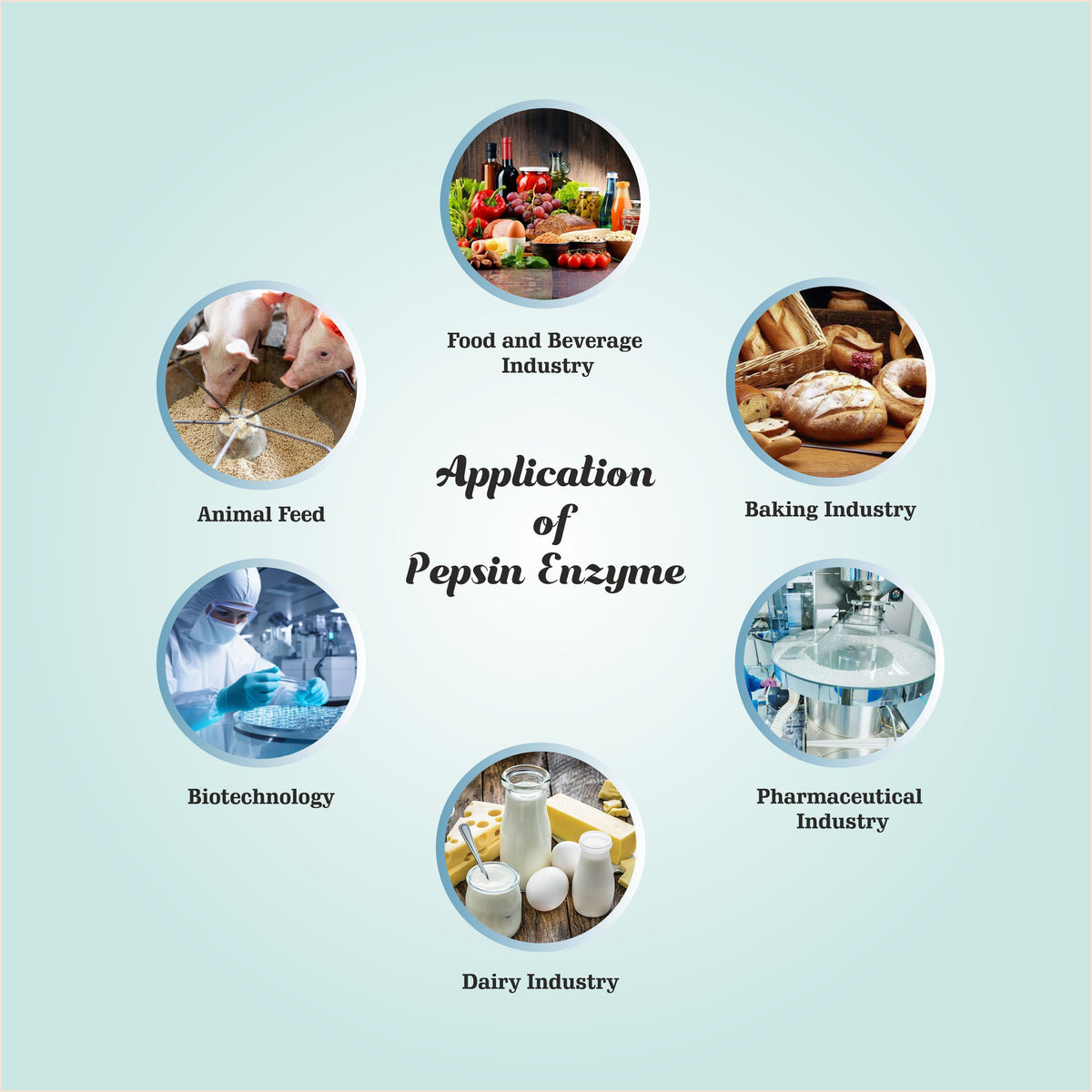 Buy Bioven Ingredients Pepsin Enzyme | Online Ingredients