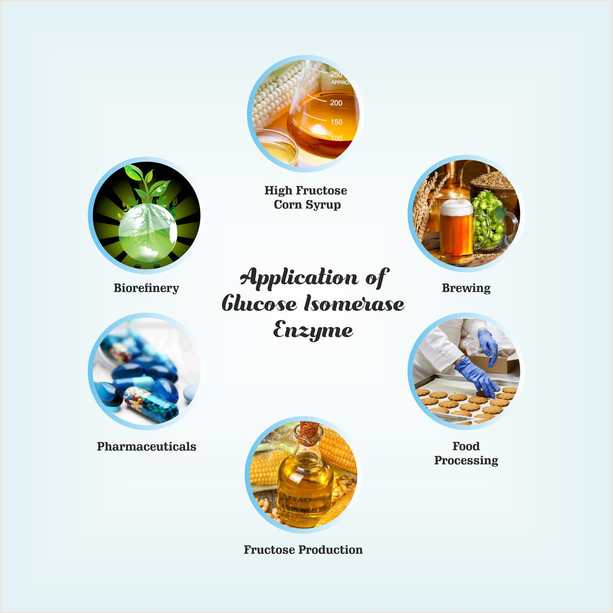 Bioven Ingredients Pure Glucose Isomerase Enzyme Powder-125gm | Online ...