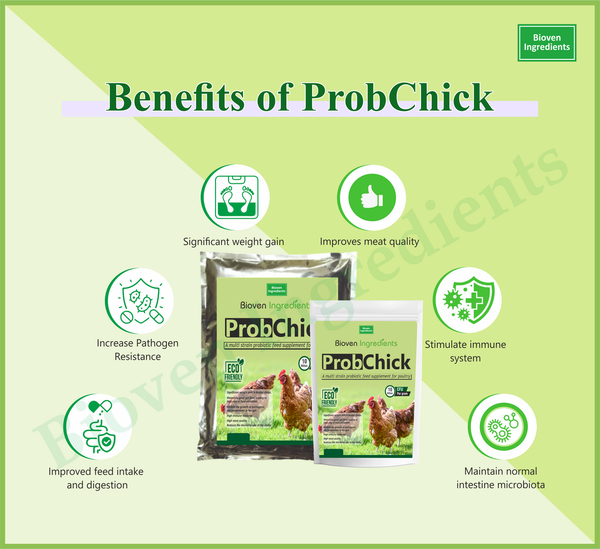 Bioven Ingredients ProbChick(Poultry Probiotics/Chicken Probiotics)-12 ...
